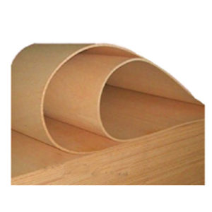 Flexy plywood – Star Ply